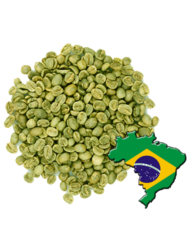 Café verde arábica crudo en grano de Brasil